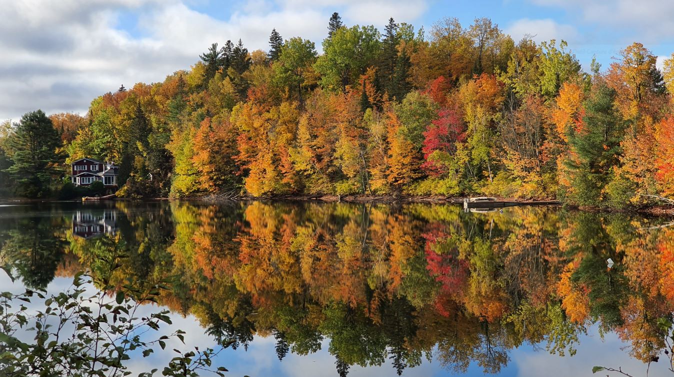 Canada, octobre 2019, de Toronto à Québec - Le Blues de l'Actu